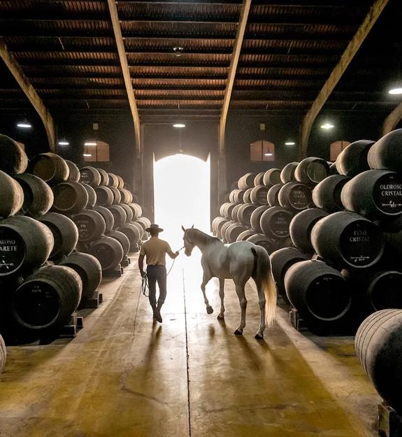 In Collaboration with Bodegas Grupo Estévez | The Macallan®